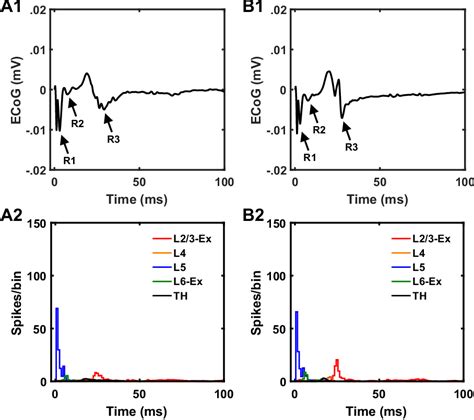 figure 14 from model based deconstruction of cortical evoked potentials