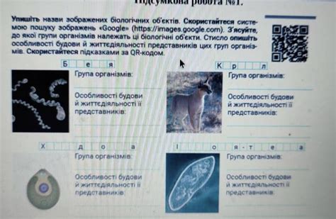 Зробіть з біології 7клас даю 15білів Школьные Знания Com