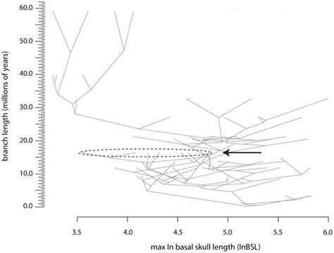 Arrow Denotes Location Of Lystrosaurus Assemblage Zone Taxa Along The Download Scientific