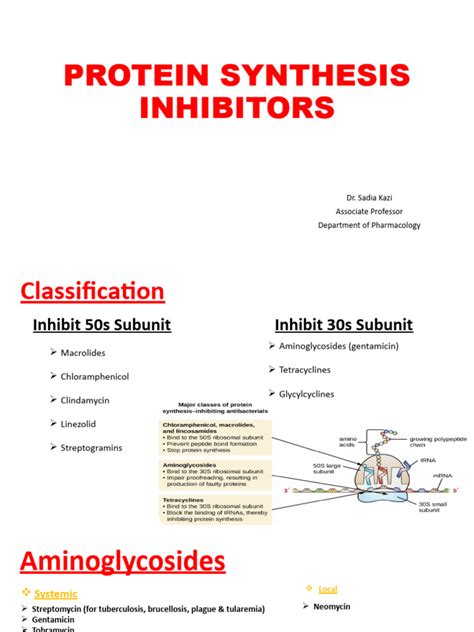 Protein Synthesis Inhibitors Pdf Causes Of Death Medicine