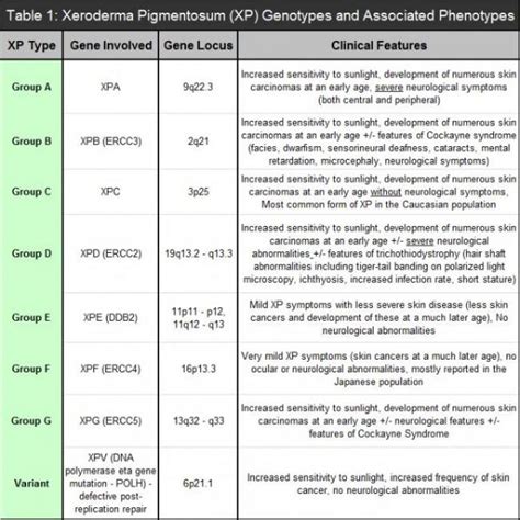 Xeroderma Pigmentation Xeroderma Pigmentation