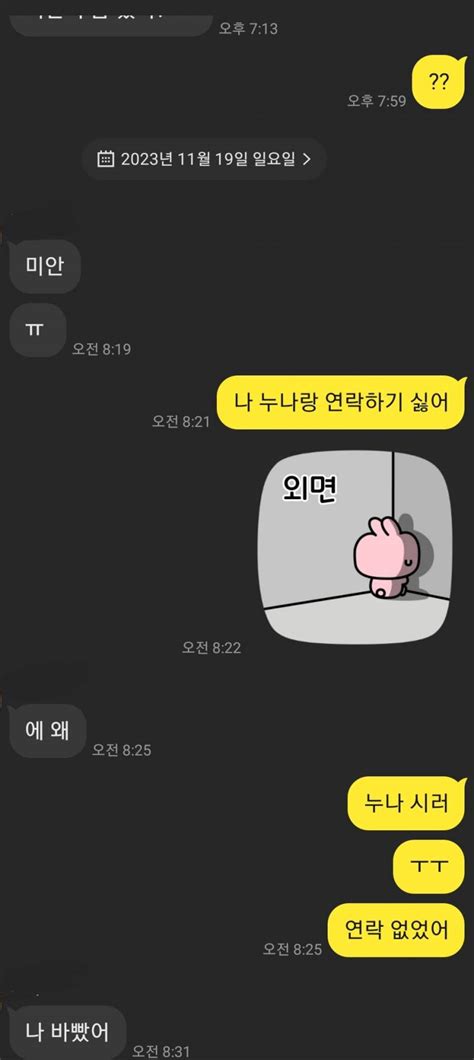 [잡담] 이거 누나가 바쁘다고 핑계대는 건가 인스티즈 Instiz 일상 카테고리