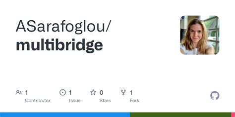 github asarafoglou multibridge