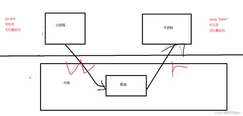 Linux Linux Csdn
