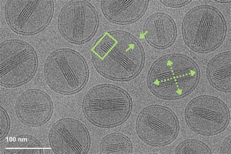 Nanoparticle Characterization Services