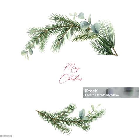 전나무 가지와 유칼립투스와 수채화 벡터 크리스마스 화환 흰색 배경에 고립 된 꽃 엽서와 초대장을 인사하는 손으로 그린 그림