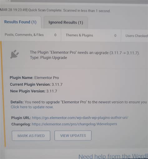 Auto Update Error And Display Problems Relementor