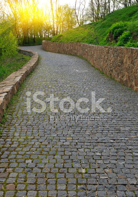 공원에 있는 포장도 스톡 사진 로열티 프리 이미지 Freeimages