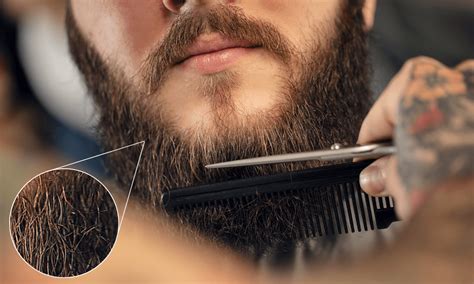 How To Spot Manage And Prevent Beard Split Ends The Rugged Bros