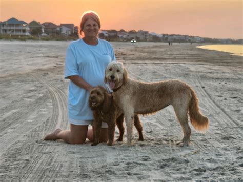 Shell Plastics Shell Plastics Added A New Photo