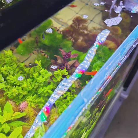 Đèn led máng thay đổi chế độ màu WRGB Riverzone SD dành cho bể cá