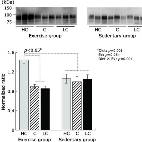 Determination Of Total Iga And Secretory Siga Levels In Fecal Download Scientific Diagram