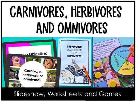 Name And Identify Carnivores Herbivores Omnivores Activity Pack