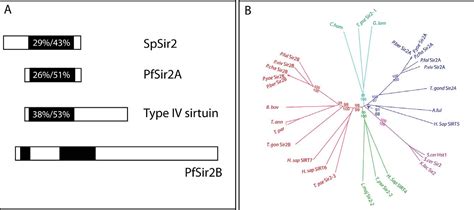 Antigenic Variation Semantic Scholar
