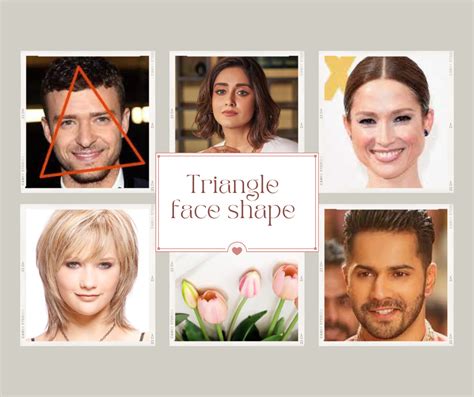 Face Shapes Face Shapes