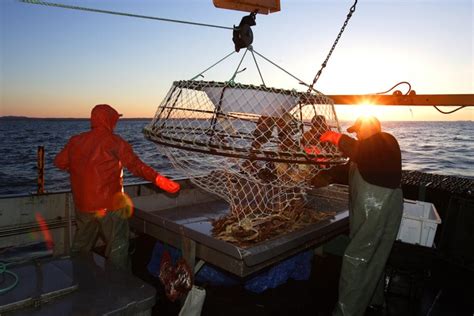 Implication dans l industrie de la pêche Activités de lAMIK