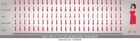 Girl Character Walk Cycle Animation Sequence 库存矢量图免版税1929203540 Shutterstock
