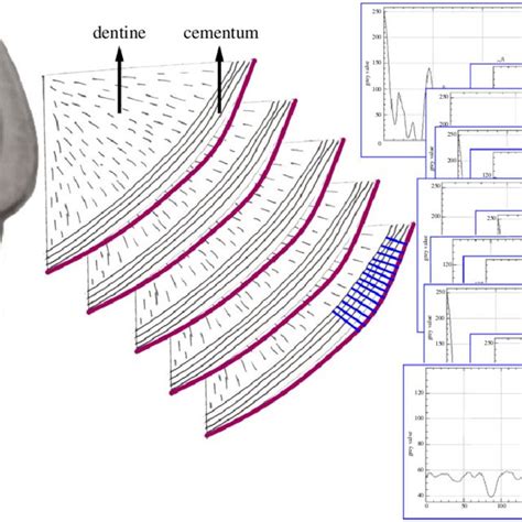 Schematic Representation Of The Workflow From Left To Right Five 2D Download Scientific