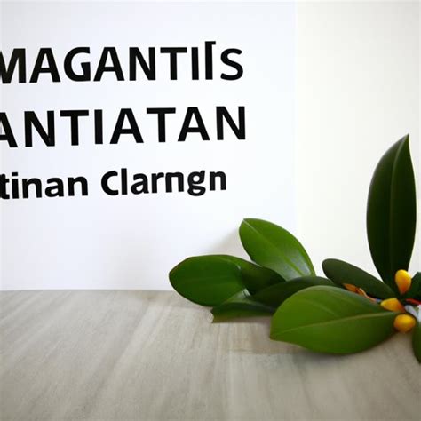 How Long Does It Take For Magnesium Citrate To Work The Enlightened Mindset