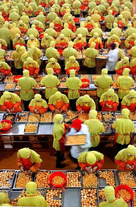 图文 经济纵横 彩浙江丰岛实业集团带动5万农户脱贫致富