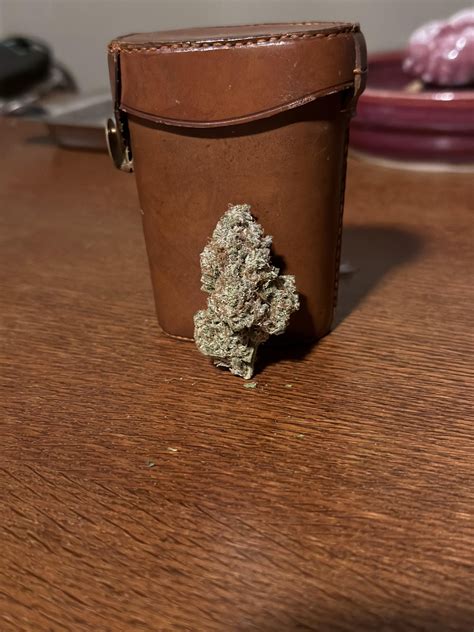 I Always Enjoy The Different Bud Structures After The Trim In Order