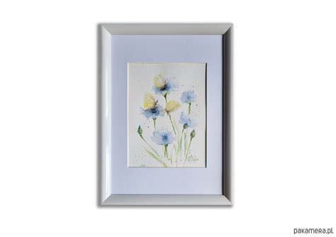 Akwarela Ręcznie Malowana Chabry Kwiaty Polne Rama Pakamerapl