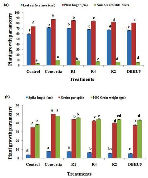 A B Graph Representing Effect Of Different Pgpr Strains And Their