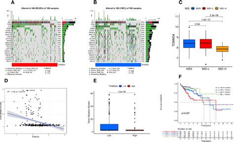 Somatic Mutation Analysis Characteristics A Distribution Of The Top