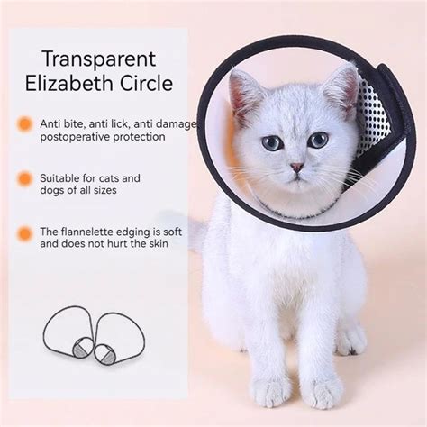 Petoo Pet Products Posted On Linkedin