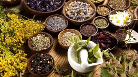 Bahan Alami Untuk Meredakan Hidung Tersumbat K24Klik