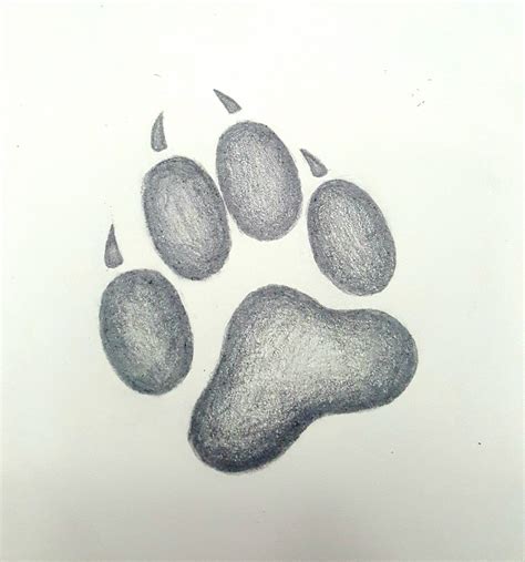 Wolf Paw Print Drawing Wolf Paw Print Drawing