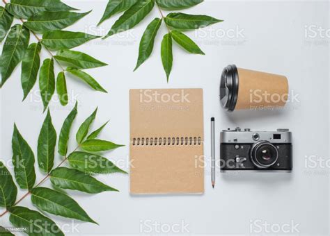 연필 커피 컵 녹색 잎흰색 배경에 복고풍 카메라와 공예 노트북 자연과의 통일의 개념 맨 위 보기 공예에 대한 스톡 사진 및 기타