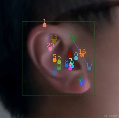 openmmlab 03 RTMDetRTMPose rtmdet 与rtmpose CSDN博客