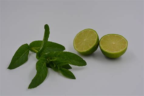 흰색 바탕에 갓 딴 향기로운 민트의 가지와 육즙과 잘 익은 라임의 두 정확히 반쪽 감귤류 과일에 대한 스톡 사진 및 기타 이미지 감귤류 과일 거친 건강관리와 의술