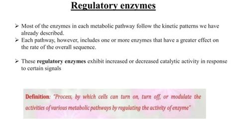 Lecture 07080321pdf