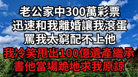 老公家中300萬彩票，迅速和我離婚讓我滾蛋，罵我太窮配不上他，我冷笑甩出100億遺產繼承書，他當場跪地求我原諒【煙雨夕陽】為人處世 爽文