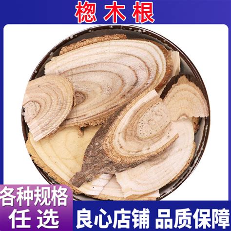 中药材楤木根 鸟不宿根 鸟不落 鸟不落根 各种规格 包邮 Taobao