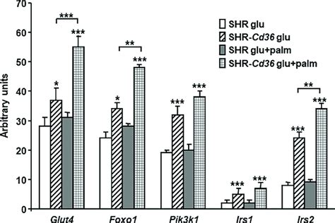 Effect Of Cd On Expression Of Genes Involved In Insulin Signalling Download Scientific