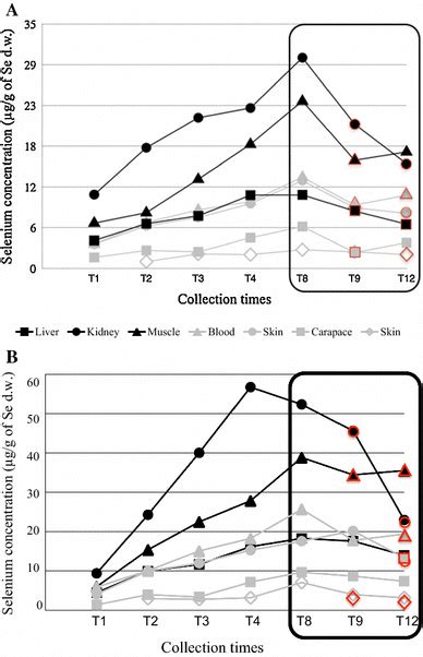 Pattern Of The Selenium Concentration µg G⁻¹ Of Se D W Over The