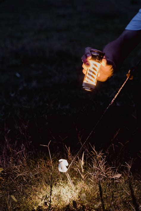 Barebones Edison Light Stick
