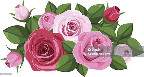 레드 및 부케 Rosebuds 잎사귀가 보입니다 벡터 일러스트레이션 장미에 대한 스톡 벡터 아트 및 기타 이미지 장미 0명
