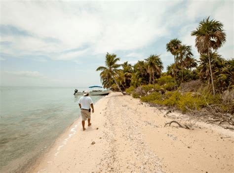 Leonardo Dicaprio Is Building A Luxury Eco Resort Near Belize