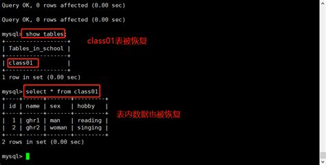 MySQL 数据库备份完全备份与恢复 腾讯云开发者社区 腾讯云