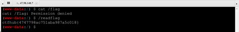 CTFHub 技能树 Web 进阶 PHP Bypass disable function LD PRELOAD 知乎