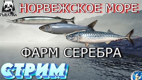 🌟НОРВЕЖСКОЕ МОРЕ🌟ФАРМЛЮ НА МОРСКУЮ ТОП СБОРКУ🌟Русская Рыбалка 4 РР4 🌟