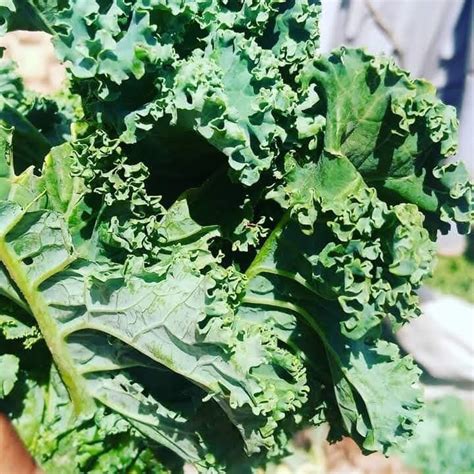 Sunshine Basket Nigeria Added A Sunshine Basket Nigeria