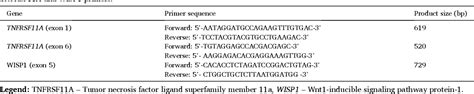 Table 1 From Study Of Genes Polymorphisms In Rankranklopg And Wnt