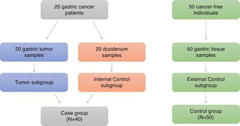 Schematic Visualization Of The Sampling Design Download Scientific Diagram