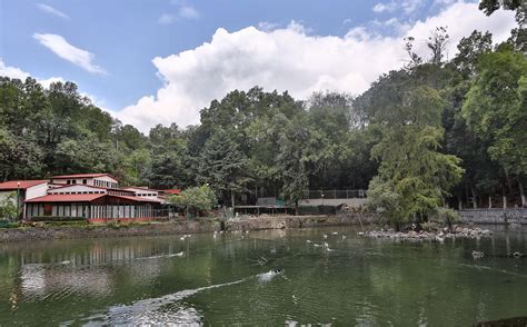 Nationaal Park Fuentes Brotantes De Tlalpan Mexico Stad