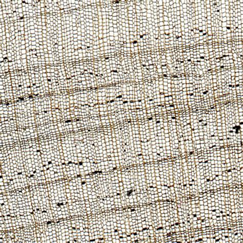 Cork Sec 20 µ Microscope Slide Carolina Biological Supply